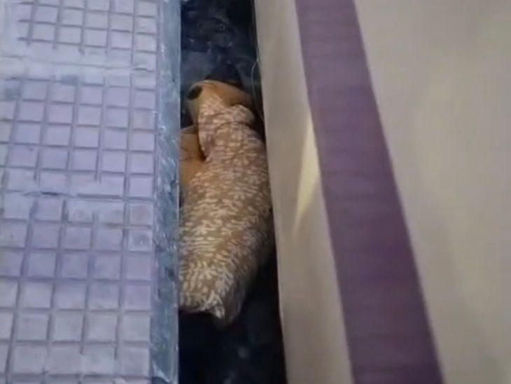 A woman fell from a moving train at Dehri on Sone station.