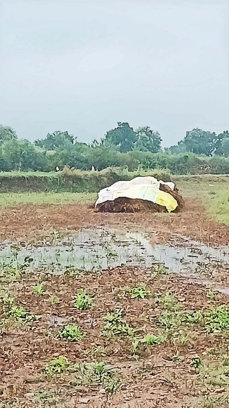 30 mm rainfall in Sarada, 35 mm in Lasadia, 38 mm in Semari and 39 mm ...