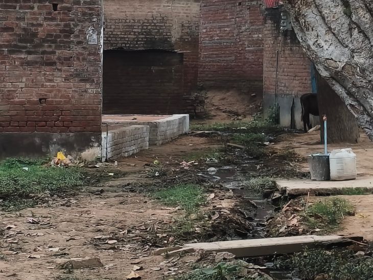 The street in Auraiya's Mudhi Panchayat has been in bad condition for ...