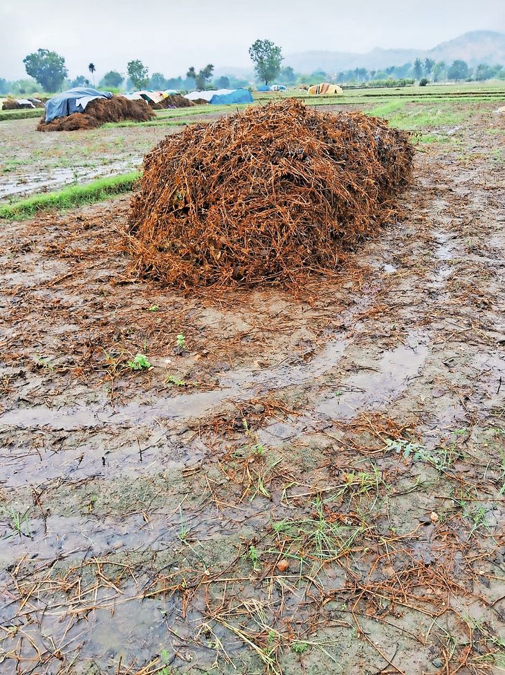 Dungarpur, Sagwara, Simalwara, Bichiwada, Sabla, Aspur, Galiakot