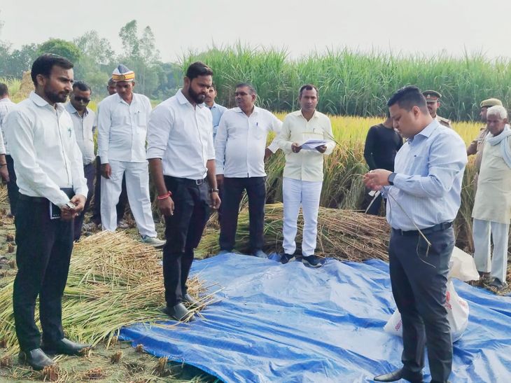 Ayodhya DM inspected paddy crop cutting