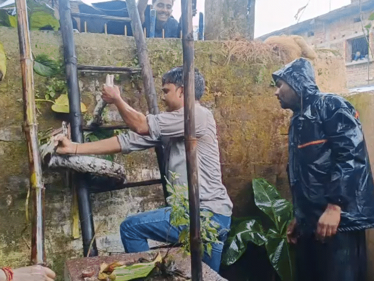 A 12-foot python was caught in a house in Ranchi.