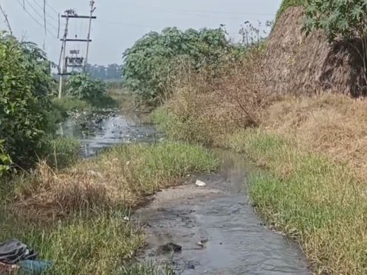 The pond of Sankraud village of Khekra has become a problem | खेकड़ा के ...