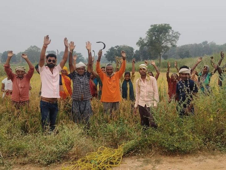 Chapki paddy procurement center will reopen | चपकी धान खरीद केंद्र फिर ...