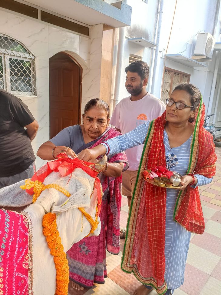 Cow Mother's morning procession was taken out in the city, people ...