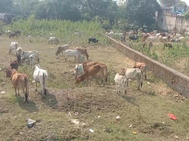 Lack of arrangements in Baradwar Gauthan