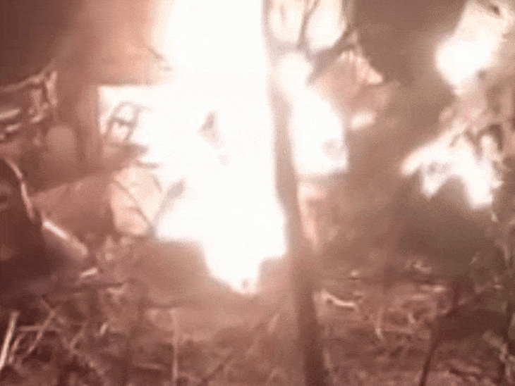 A tractor-trolley overturned and caught fire, resulting in the death of ...