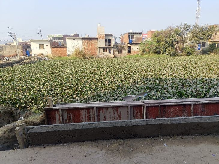 Construction of pond drainage drain started in Jani Khurd