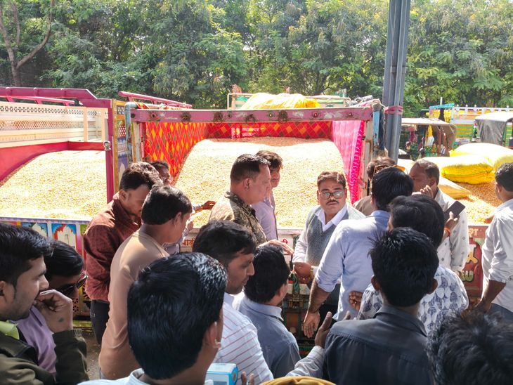 Huge increase in arrival of maize in Sendhwa market | सेंधवा मंडी में ...