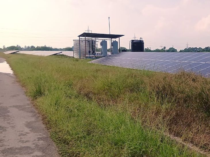 NTPC plant in Bilhaur turns into a jungle