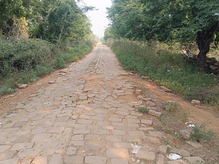 The problem of the road to Navodaya Vidyalaya is 36 years old. | नवोदय ...