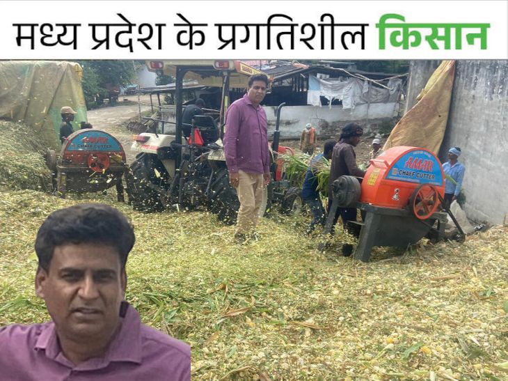 Making silage for animals from maize crop | मक्का फसल से पशुओं के लिए ...
