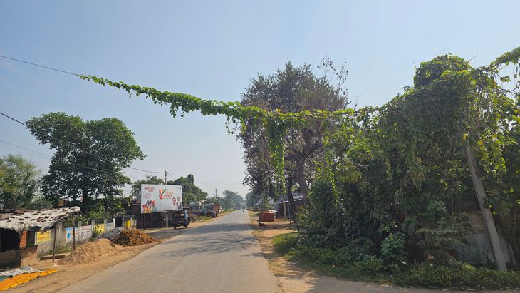 Electricity wire is stuck in bushes, demand for cleaning
