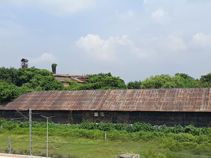 Chanpatia sugar mill hopes to reopen
