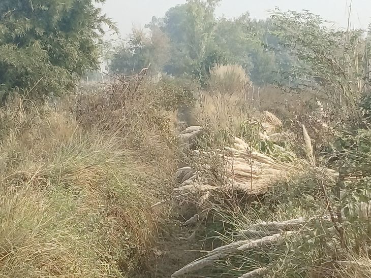 Silt cleaning of canals only on paper