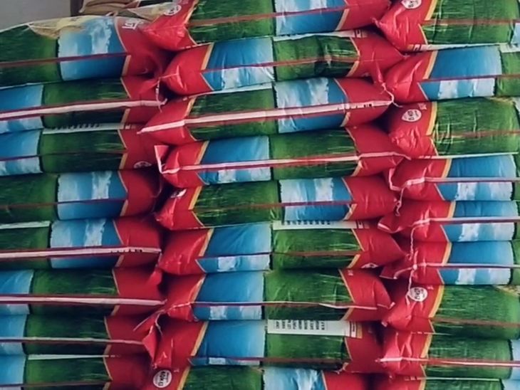DBW-303 wheat seed available at Milkipur center