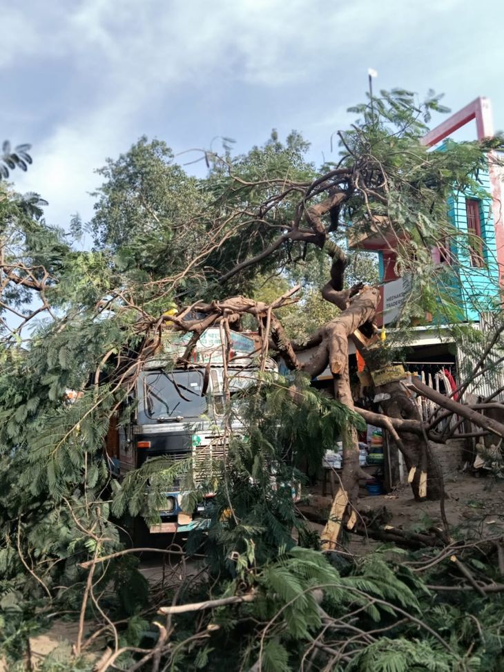 A truck collided with a tree branch, resulting in a broken accident.