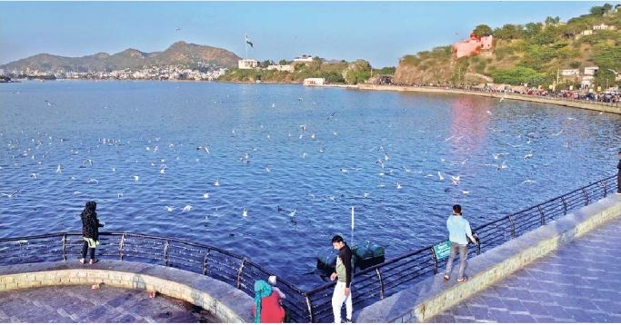 Ana Sagar is home to many migratory birds including the White Pelican.