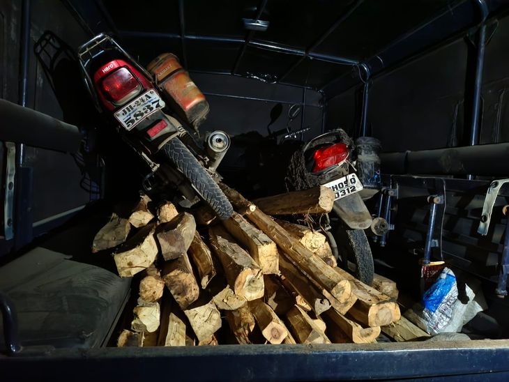 Five people arrested for illegal logging in Lugu Mountain area, sent to ...