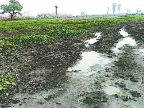 Floodwaters recede in Meerut's Khadar region
