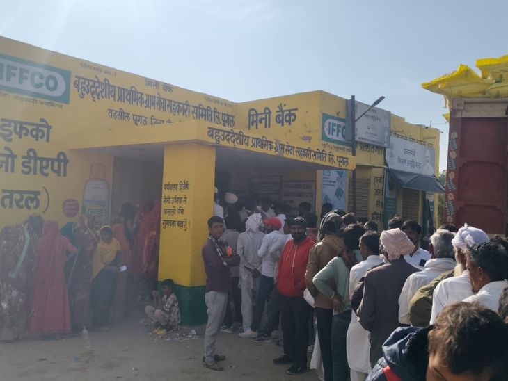 Urea fertilizer shortage in Poogal | पूगल में यूरिया खाद की कमी: किसान ...