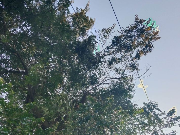 33 KVA line breakdown in Achalda