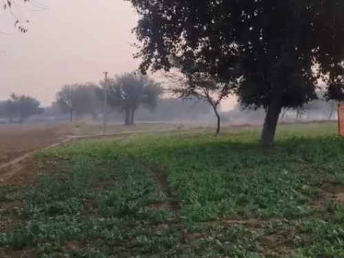 Temperature rises in Sikar, severe cold persists