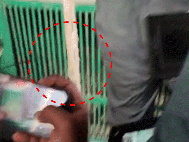 Jaipur Leopard Movement Video; MNIT College | Student Hostel