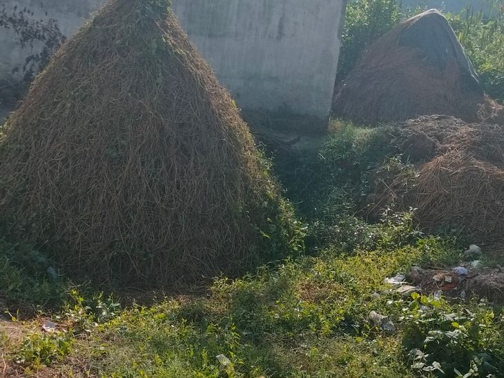 Piles of garbage near the temple cause inconvenience to devotees.