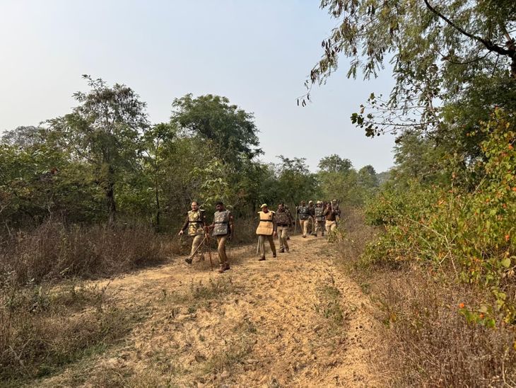 Police conduct intensive combing operation in the forests of MP border