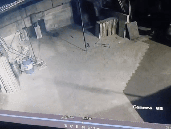 Nuh Mewat Dingarheri village Leopard sighting| Haryana news