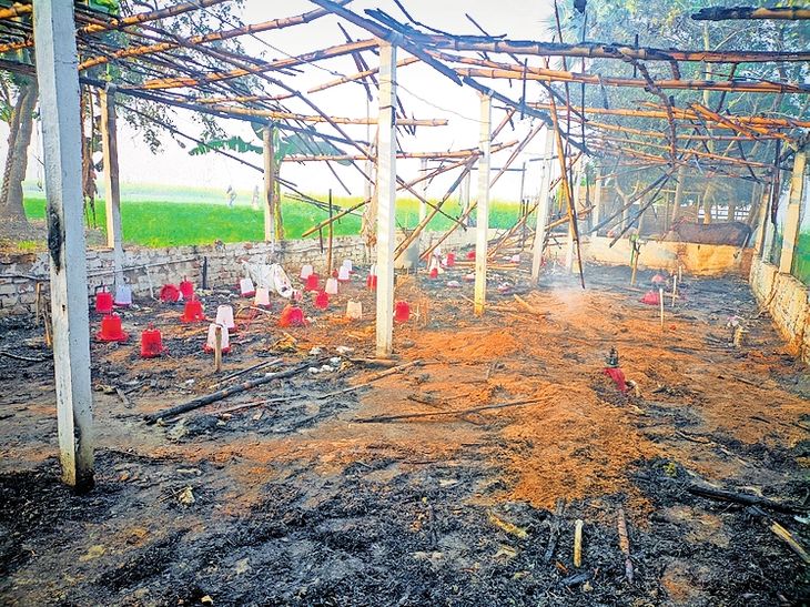 Poultry farm gutted in Shahpur Patori fire, property worth lakhs ...