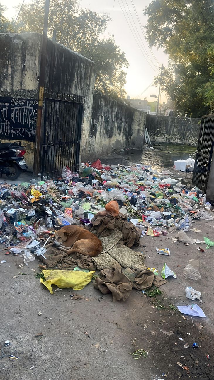 Garbage is not being collected in Ladpura area, people are upset ...