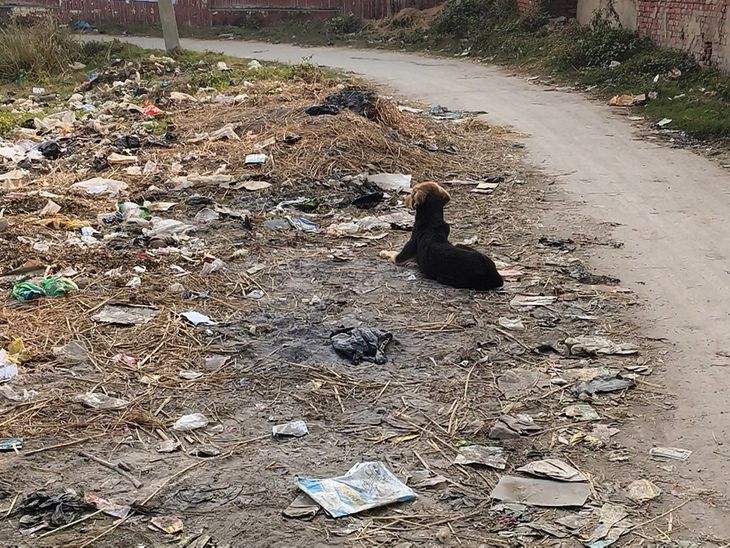 Garbage heap on Kharwal main road