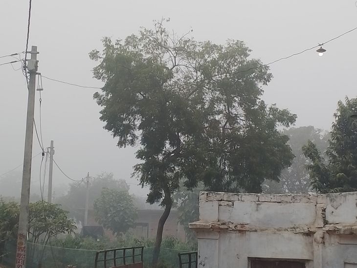 Jogipur streetlights are out of order