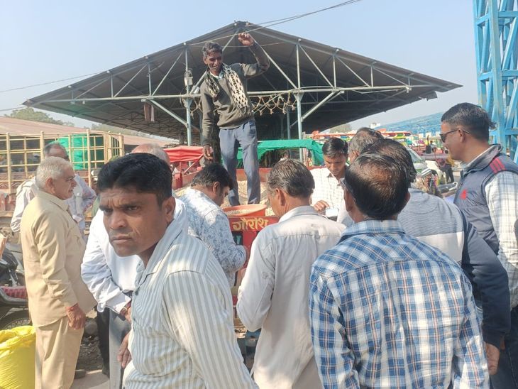 10,297 quintals of crops arrived at Dhamnod Mandi.