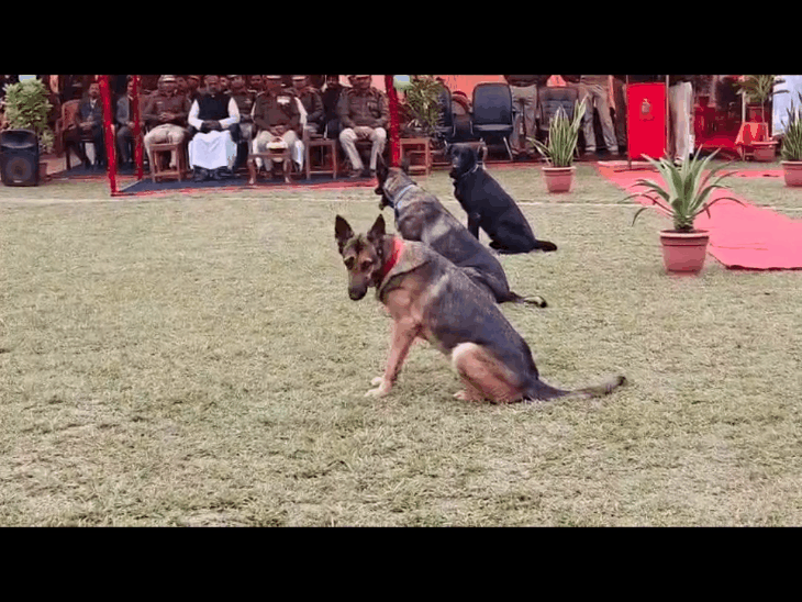Sashastra Seema Bal celebrates 62nd Raising Day