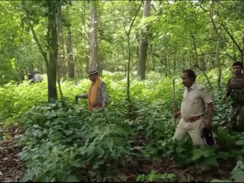 forest-dept-advisory-forest-closure-31st
