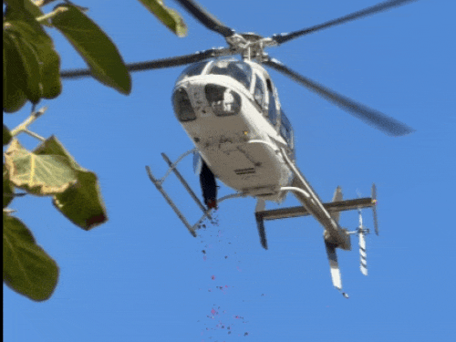 Flower shower from helicopter in Khatushyamji VIDEO