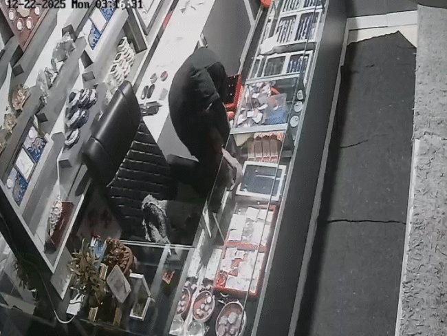 Designer arrested for theft at jeweller's shop