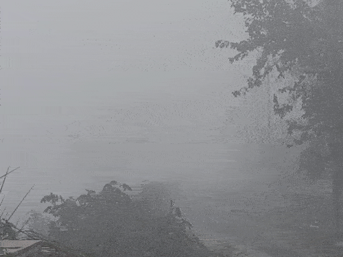 Uttarakhand Christmas Day Fog Cold Weather News Update | क्रिसमस के दिन ...