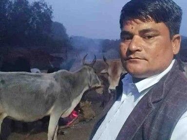 Important steps taken for the protection of cows | गौवंश की सुरक्षा को ...