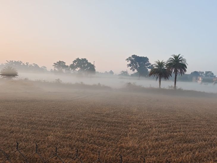 Minimum temperature in Pendra-Amarkantak is 5 degrees | पेंड्रा-अमरकंटक ...