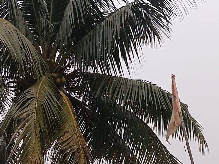 temperature in Samastipur has dropped by 6 degrees, cold day is ...