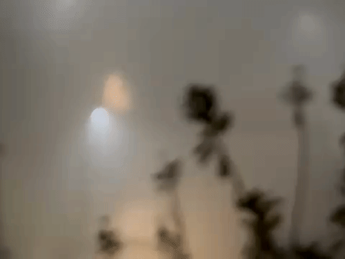 Cold wave wreaks havoc in Lucknow, alert for 2 days | लखनऊ में शीत लहर ...