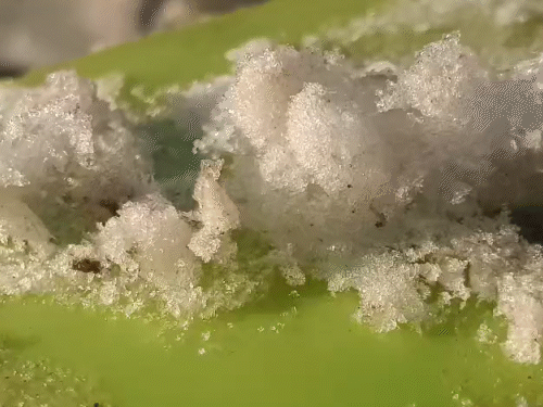 Chhattisgarh There may be some relief from the cold in the next three ...