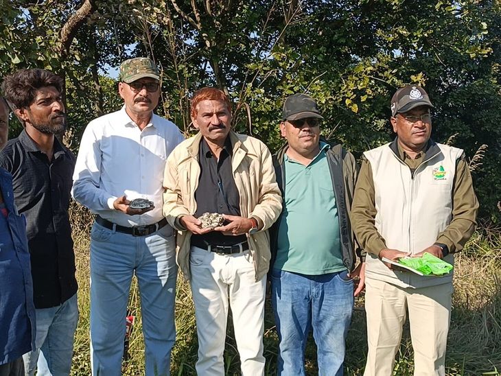 Leopard activity confirmed in Shujalpur area