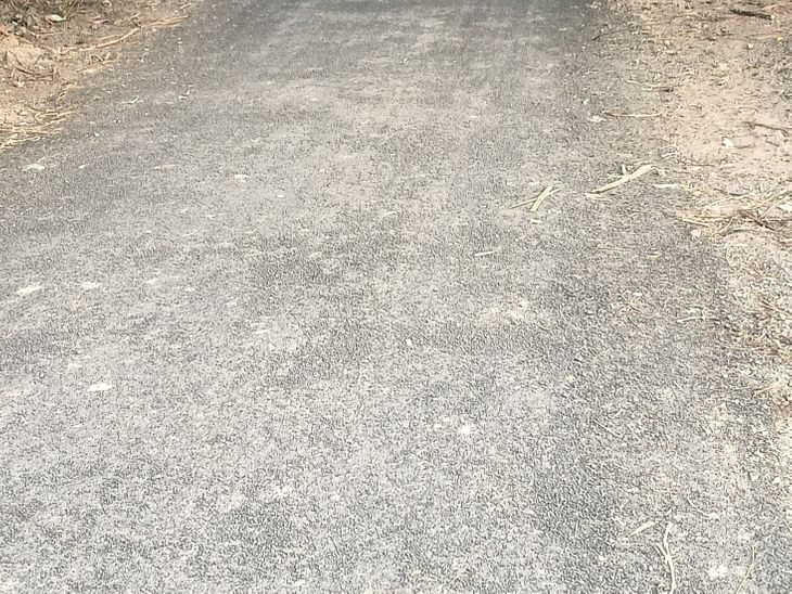 The gravel of the new road in Kursaha village was uprooted
