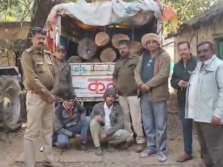 Sagwan Smuggling: Pickup Seized, Two Arrested in Rehli