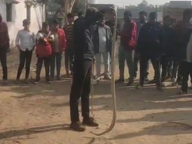 Sadabad: 8-ft Snake Caught After Forest Dept & Police Effort, Villagers ...